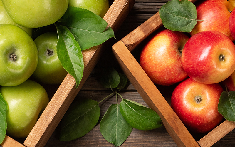 Principles of Component Cohesion | DevLead.io