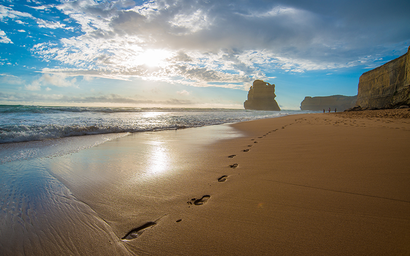 Traceability | DevLead.io