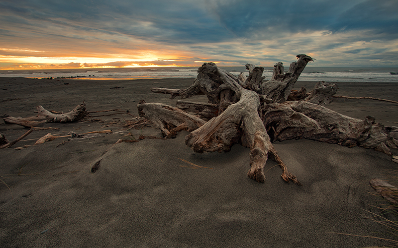 Refactoring | DevLead.io